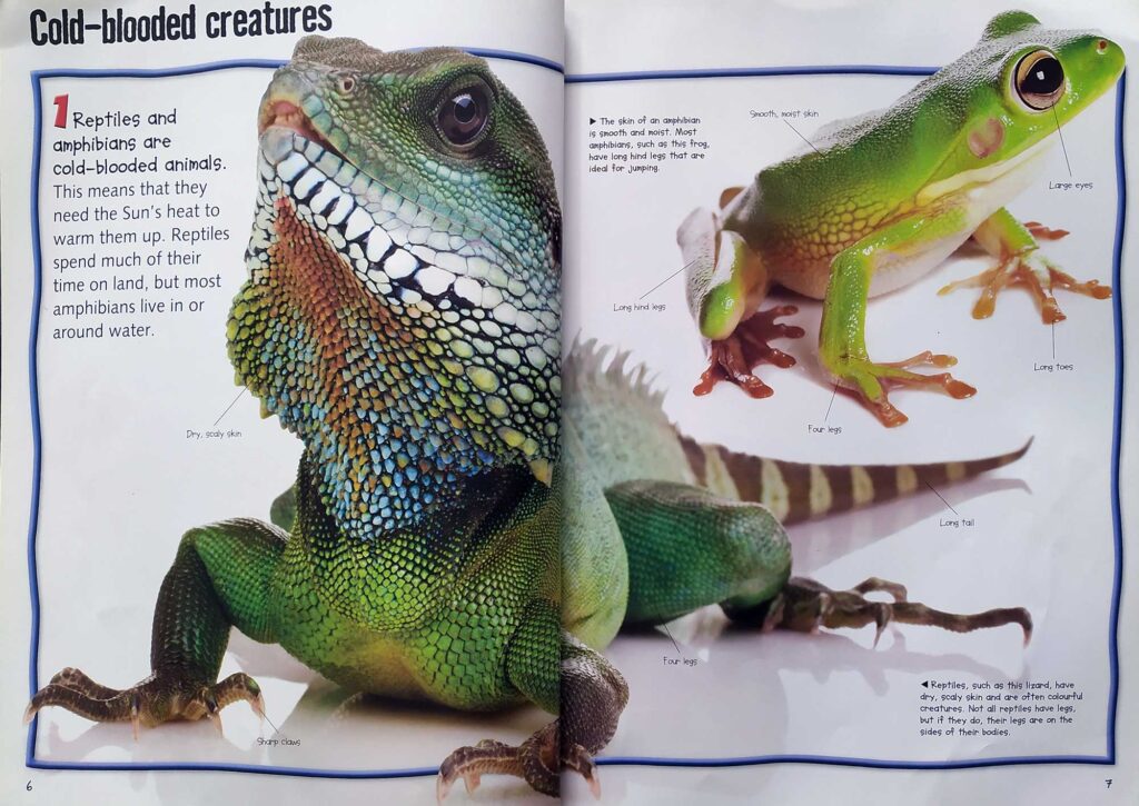 100 facts: reptiles and amphibians – Lotus Community Library – Library ...