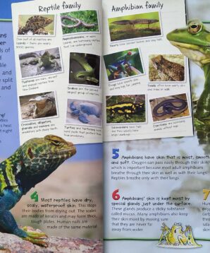 100 facts: reptiles and amphibians – Lotus Community Library – Library ...