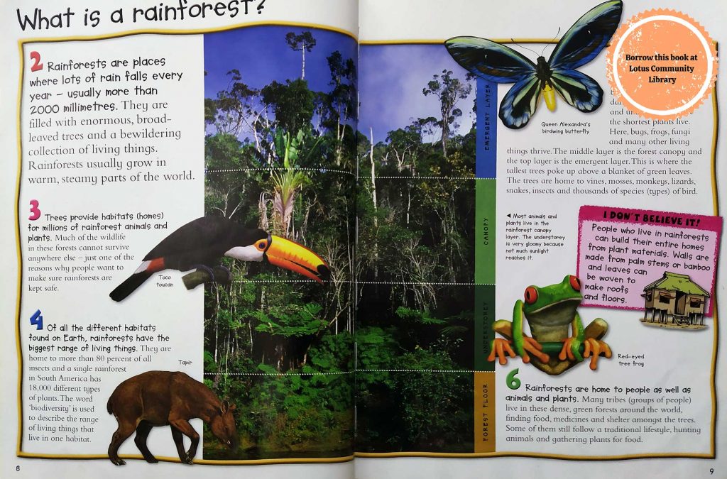 100 facts: rainforests – Lotus Community Library – Library For Families