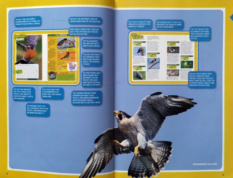 National Geographic kids: bird guide of North America – Lotus Community ...