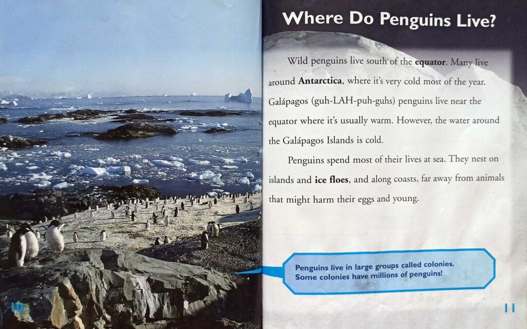 How do penguins survive the cold? – Lotus Community Library – Library ...