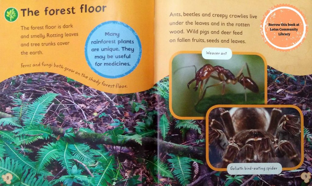 Rainforests – Lotus Community Library – Library For Families