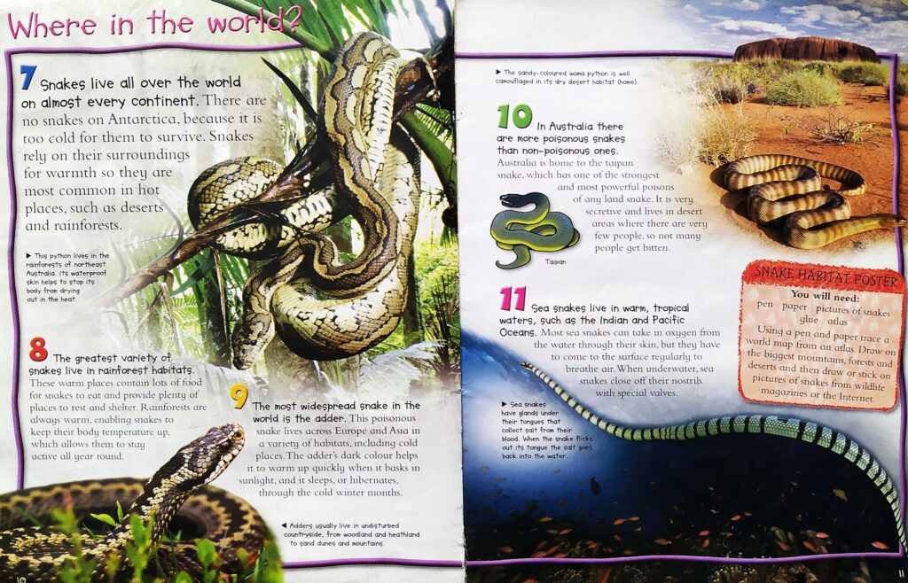 100 facts: snakes – Lotus Community Library – Library For Families
