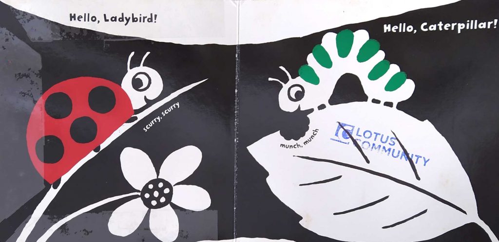 Hello, bugs – Lotus Community Library – Library For Families