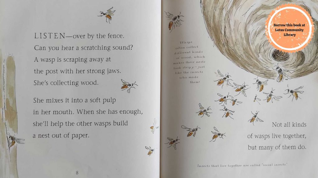 Insect detective – Lotus Community Library – Library For Families