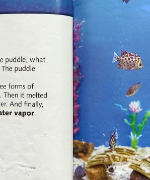Where did the water go? – Lotus Community Library – Library For Families
